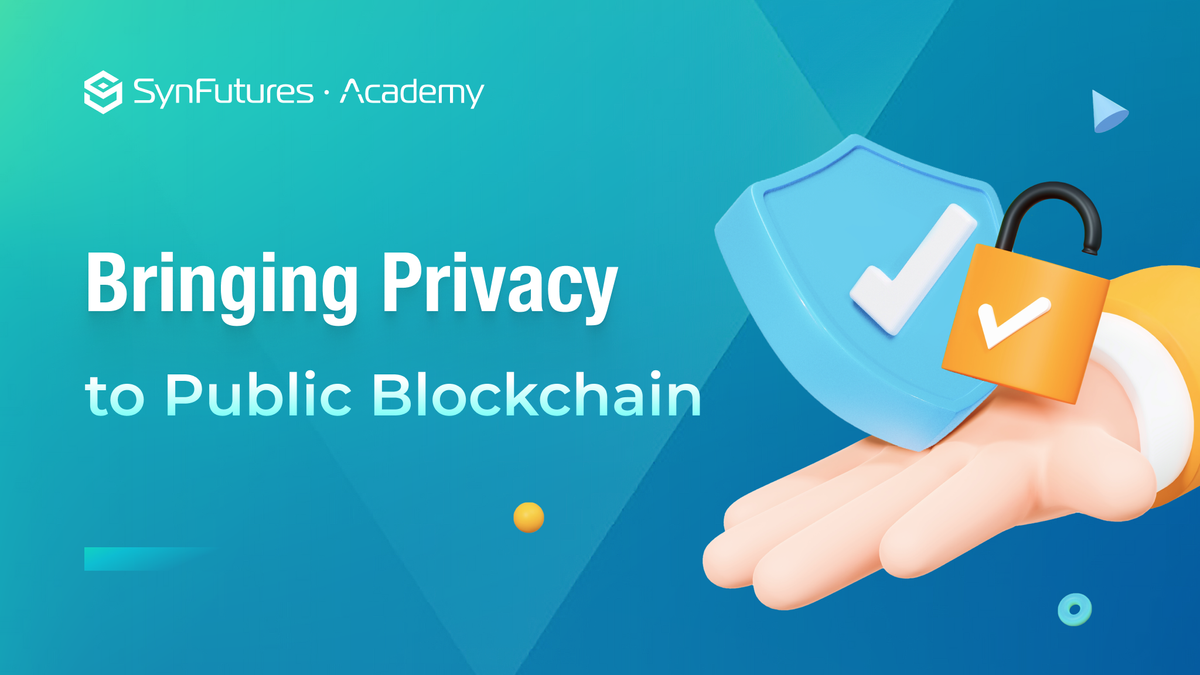 Bringing Privacy to Public Blockchains